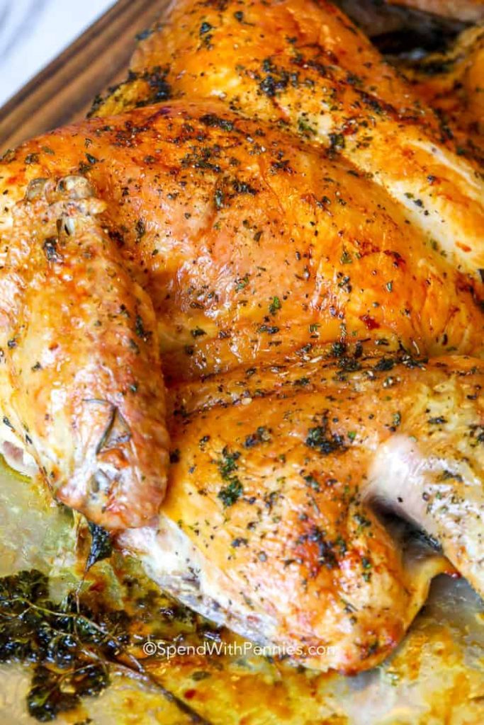 14+ tasty turkey recipes for your Thanksgiving feast. Insanely delicious!